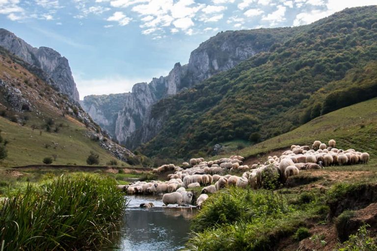 Hiking Turda Gorge in Romania - These Foreign Roads