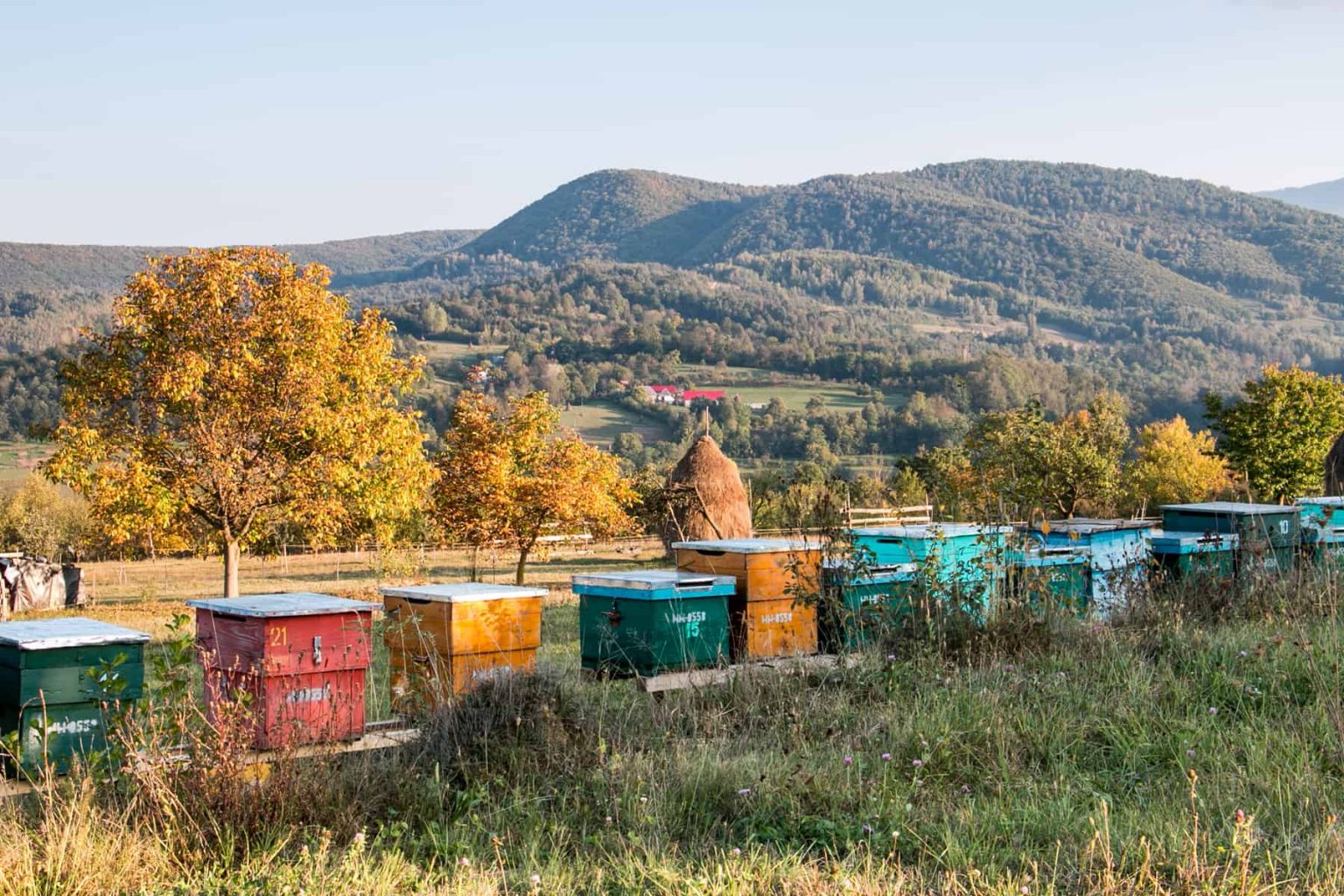 11 Unique Things to Do in Maramures, Romania - These Foreign Roads ...